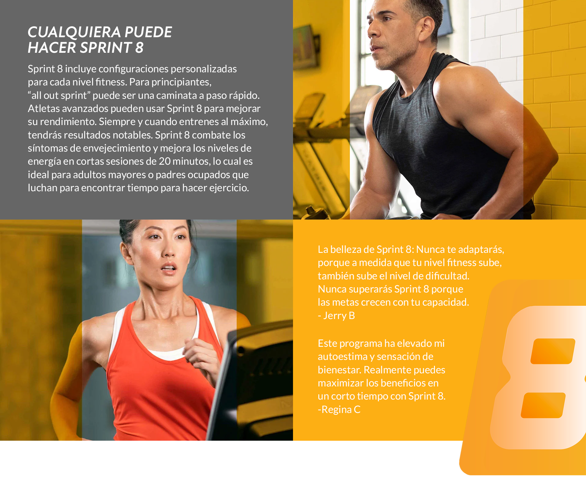 Sprint 8 – Horizon Fitness México
